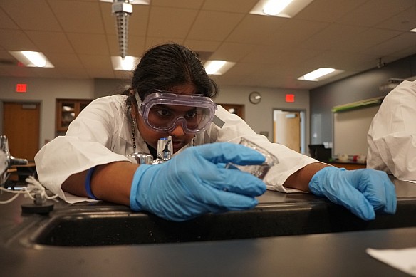 Workshop: Chemistry Lab