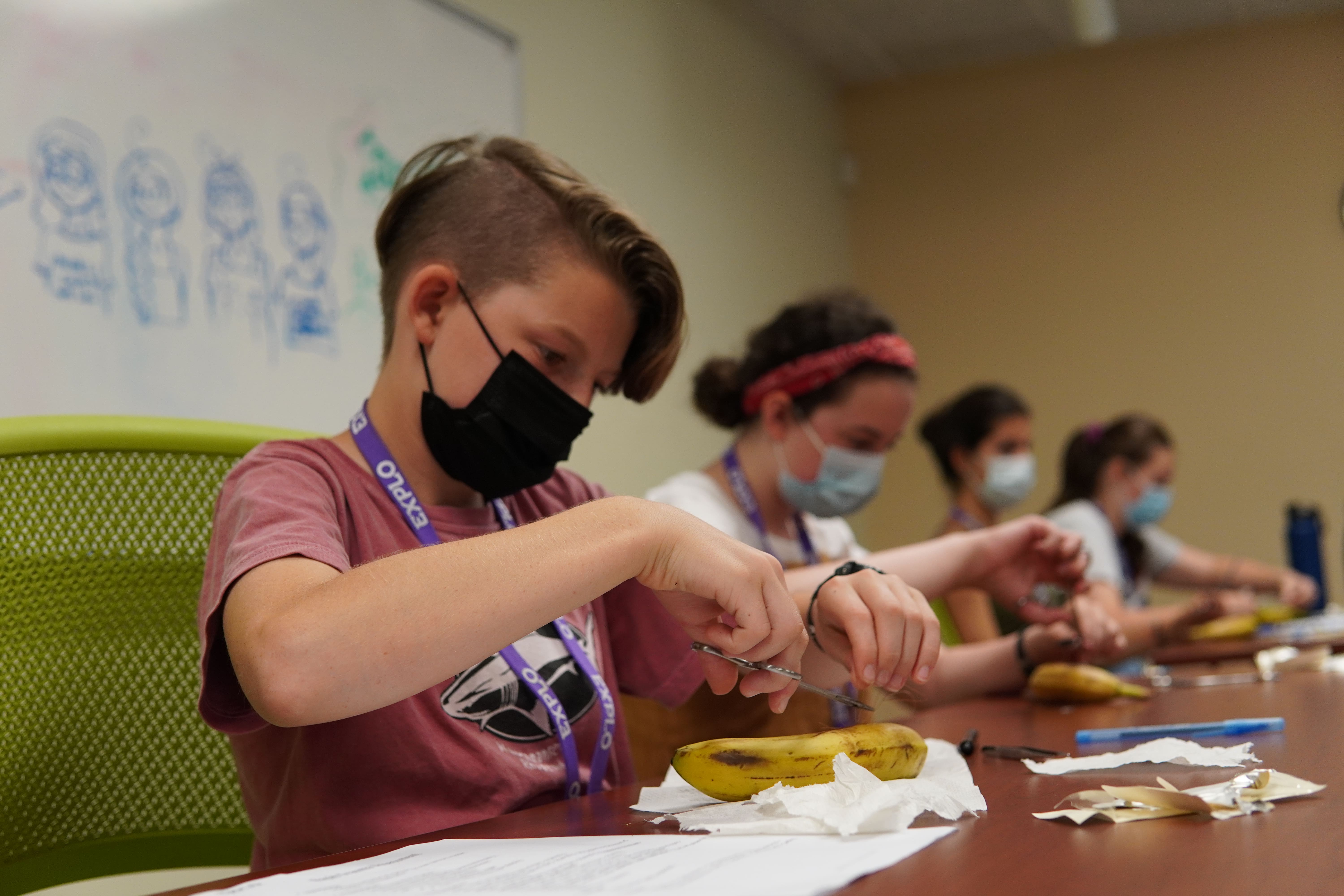 Course: Medical Careers | EXPLO Grades 8-10