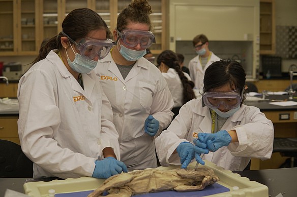 Course: Surgical Interventions